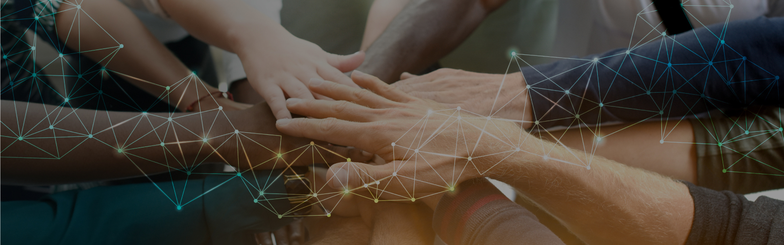 Our Team | Math Transformations