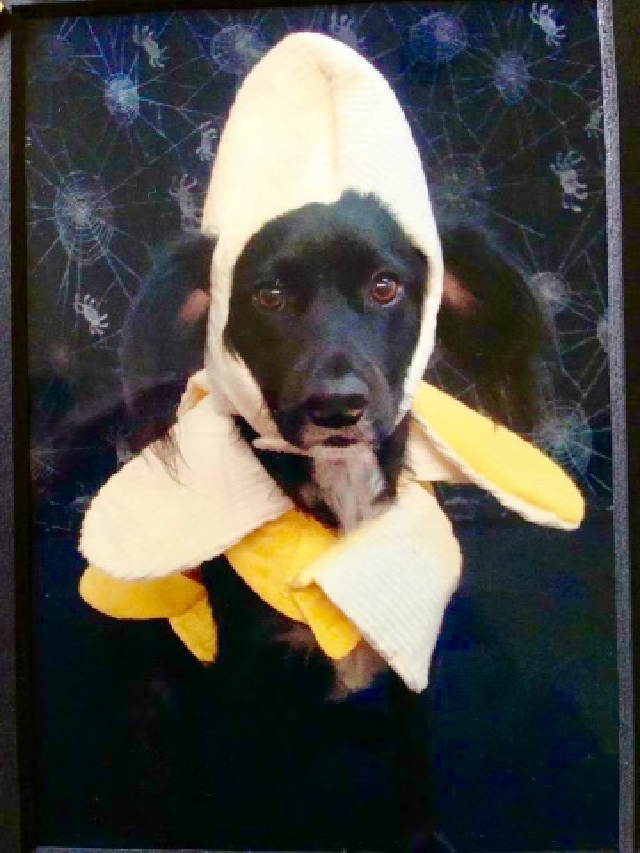 Elevating Math Teaching | Math Transformations