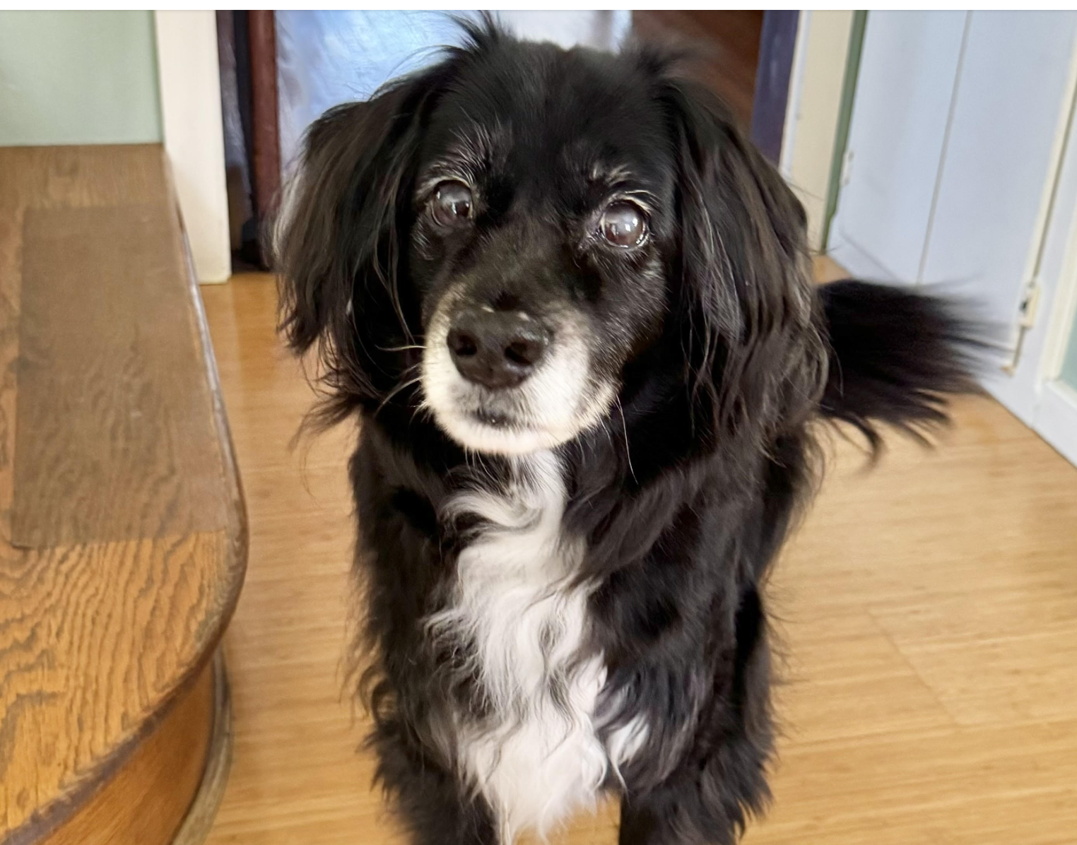 Finding Success Teaching Math Word Problems | Math Transformations