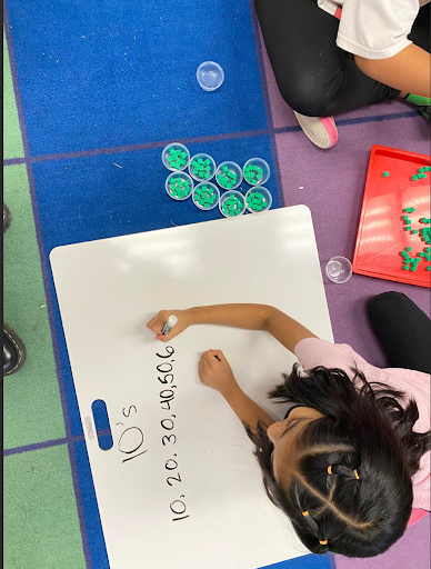 Counting Collections in the Primary Grades